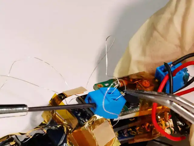 Mini Brain: Scientists create ‘mini brain’ in lab dish that learned to ...