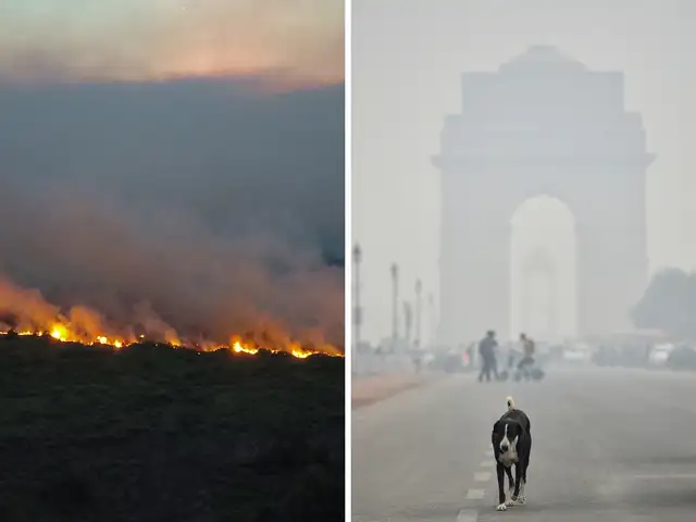 Earth Day: Earth Day: Our planet is detoxing as humans stay in lockdown ...