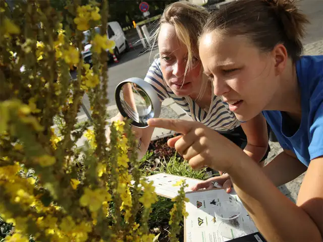 Giant bug found in Arkansas by university scientist is a rare Jurassic ...