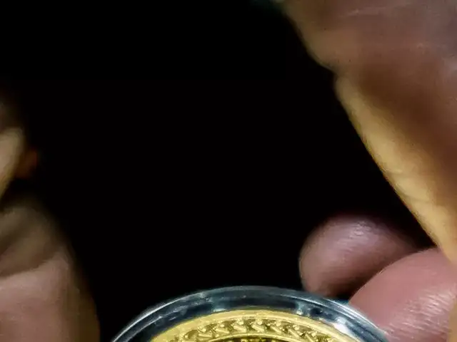 Mr Bean: Who is fake Pak Mr Bean? All about Zimbabwe president Emmerson ...