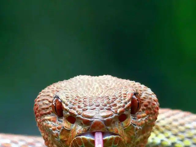 Splatoon 3 Big Run event: What is the release date, and time across the ...