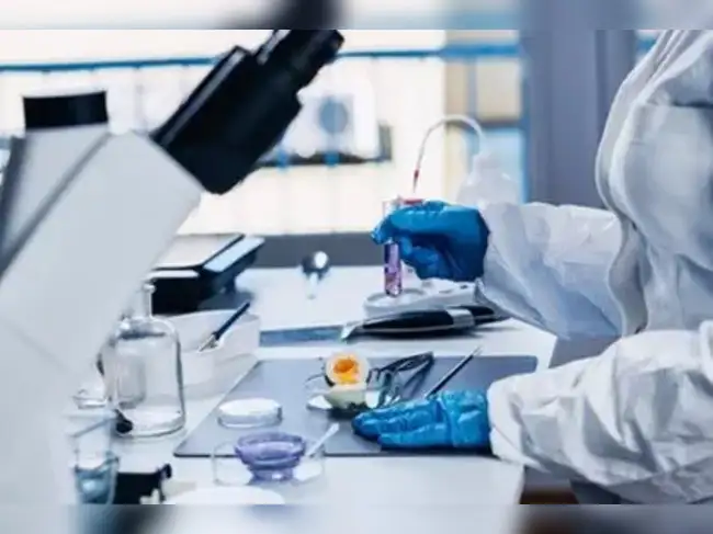 Pfizer funding startups: Pfizer to fund six startups through its ...