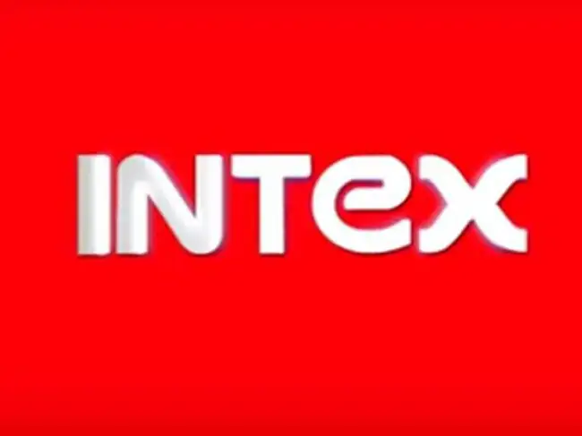 Intex: Intex eyes up to 40% growth in accessories business this fiscal ...