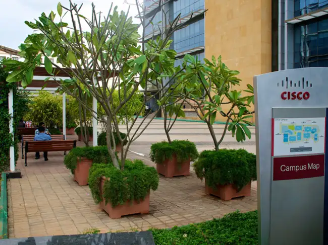 Glimpsing the IoT future: Plants that water themselves and Post-it ...