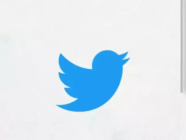 meta: Meta's Twitter competitor briefly appeared on Google Play store ...