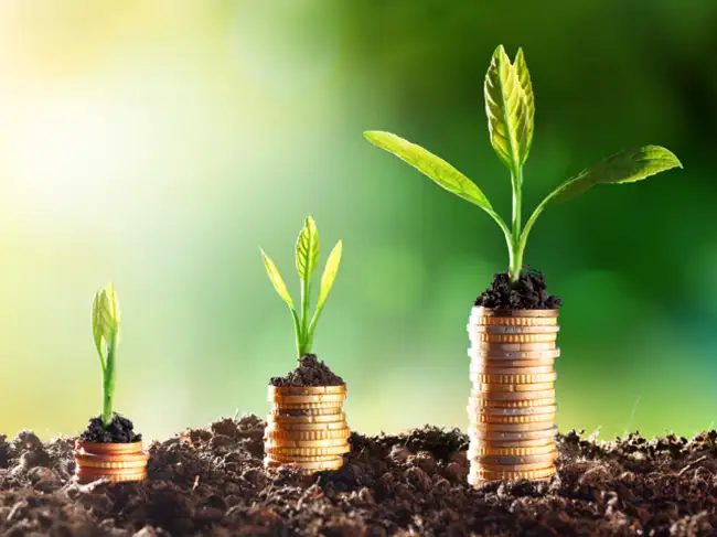 Mindler raises Rs 2.2 crore funding - The Economic Times