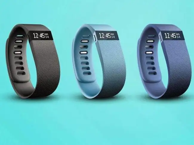 Fitbit Inc: India remains one of biggest opportunities for Fitbit Inc ...
