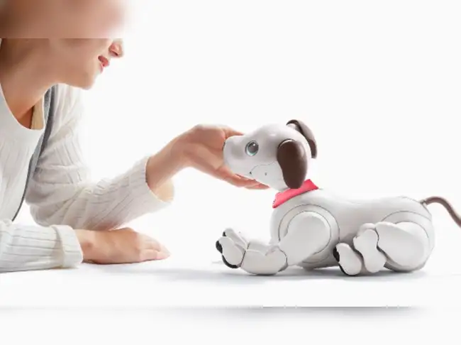 artificial intelligence: Error-prone AI chatbot dog leads Japan's ...