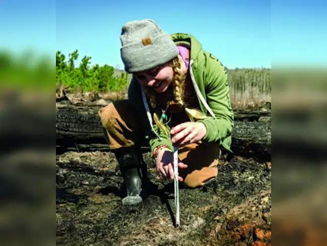 living carbon: In a first, US startup plants carbon-guzzler GM trees ...